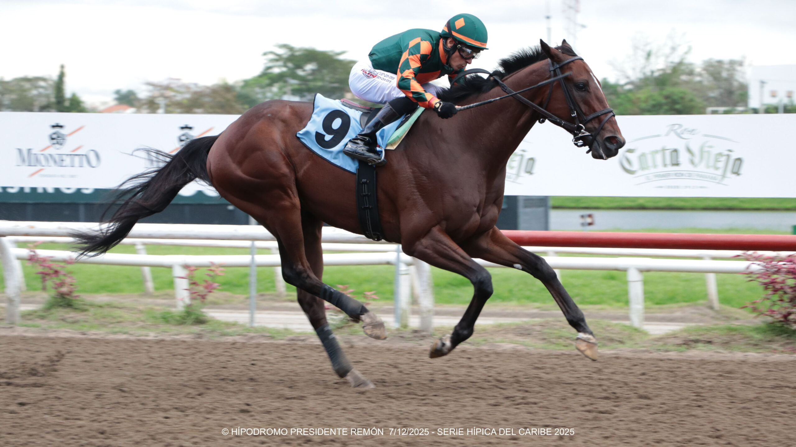 ‘Upstanding’ punta y punta en la Copa Invitacional del Caribe – SPORTS ...